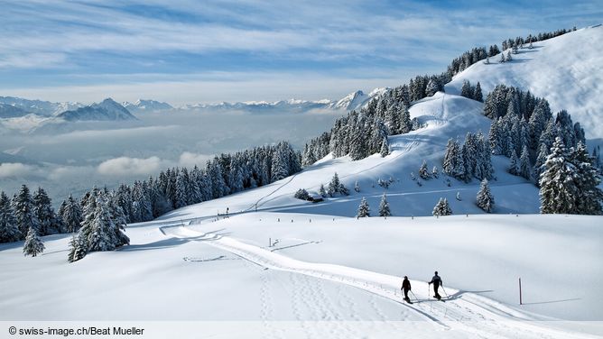 Langrend Schweiz - lejlighed & løjper