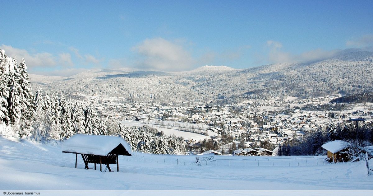 Bodenmais Ski resort - Piste map Silberberg - Bodenmais
