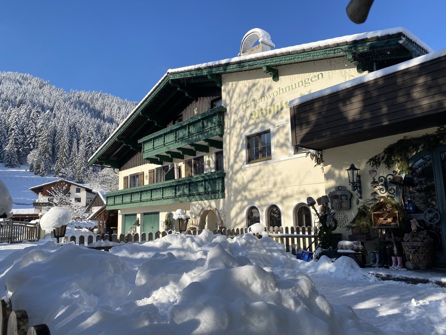 Mühlradl Apartements - Bad Goisern am Hallstättersee